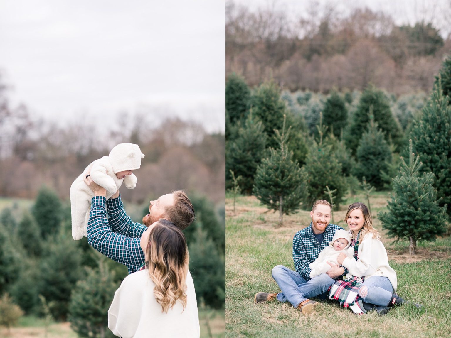 Snickers Gap Tree Farm | Round Hill VA Family Session ...